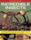 EXPLORING NATURE: INCREDIBLE INSECTS: AN AMAZING INSIGHT INTO THE LIVES ...
