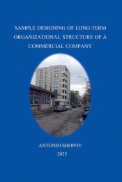 SAMPLE DESIGNING OF LONG-TERM ORGANIZATIONAL STRUCTURE OF A COMMERCIAL ...
