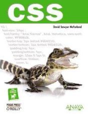 CSS - DAVID SAWYER MCFARLAND - 9788441527119