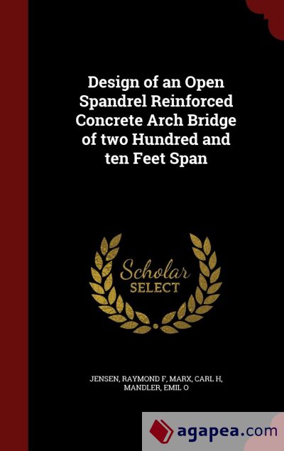 DESIGN OF AN OPEN SPANDREL REINFORCED CONCRETE ARCH BRIDGE OF TWO ...