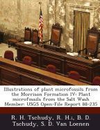 ILLUSTRATIONS OF PLANT MICROFOSSILS FROM THE MORRISON FORMATION IV ...