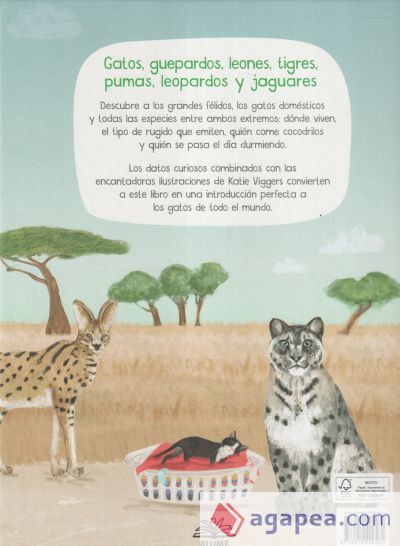 UN LIBRO DE GATOS - KATIE VIGGERS - 9788419499561