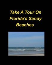 TAKE A TOUR ON FLORIDA'S SANDY BEACHES: BEACHES SANDY OCEAN TOUR ...