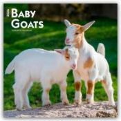 BABY GOATS 2026 12 X 24 INCH (HANGING) MONTHLY SQUARE WALL CALENDAR ...