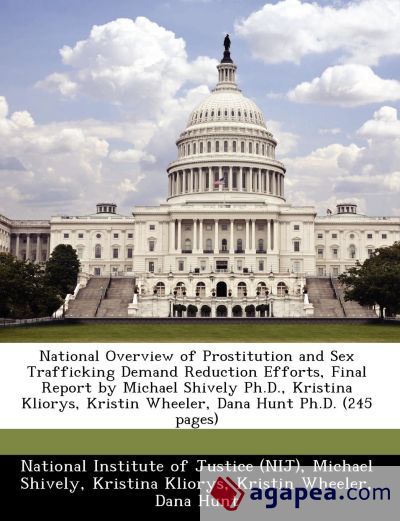 NATIONAL OVERVIEW OF PROSTITUTION AND SEX TRAFFICKING DEMAND REDUCTION ...