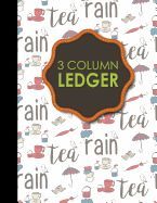 3 COLUMN LEDGER: CASH BOOK, ACCOUNTING LEDGER NOTEBOOK, BUSINESS ...