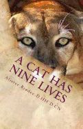 A CAT HAS NINE LIVES: AND SO DO YOU - ALISTER BREDEE D. HH - 9781540819260