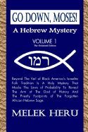 GO DOWN, MOSES! A HEBREW MYSTERY: VOLUME 1: WHAT IF GOD'S PLAN WAS TO ...