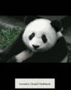 ISOMETRIC GRAPH NOTEBOOK: GIANT PANDA BEAR ISOMETRIC 3D GRAPH PAPER ...