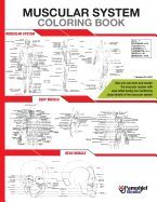 MUSCULAR SYSTEM COLORING BOOK: NOW YOU CAN LEARN AND MASTER THE ...