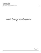 YOUTH GANGS: AN OVERVIEW - U. S. DEPARTMENT OF JUSTICE - 9781507630822