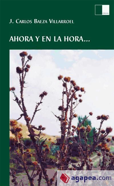 AHORA Y EN LA HORA - JOSE CARLOS BAEZA VILLARROEL - 9788496482227
