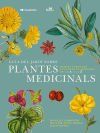 GUIA DEL JARDI SOBRE PLANTES MEDICINALS - JASON IRVING; MELANIE-JAYNE ...
