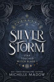 SILVER STORM - MICHELLE MADOW - 9798999162533