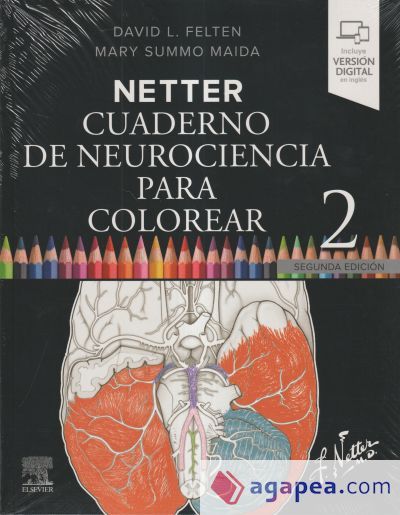 S Dev 2 Ed Netter Cuaderno De Neurociencia Para Colorear David L