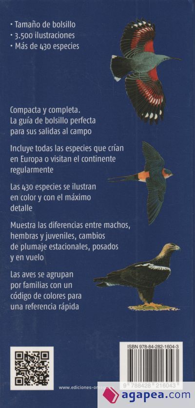 GUIA DE BOLSILLO PARA EL OBSERVADOR DE AVES DE ESPAÑA Y EUROPA - ROB ...