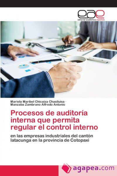 PROCESOS DE AUDITORIA INTERNA QUE PERMITA REGULAR EL CONTROL INTERNO ...