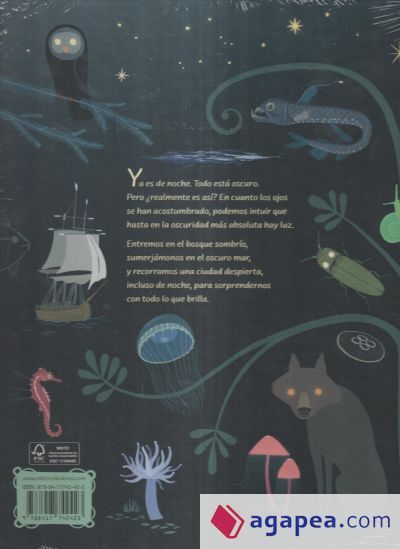 TODO LO QUE BRILLA - LENA SJOBERG - 9788417742423