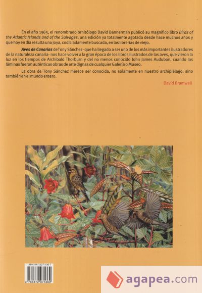 AVES DE CANARIAS: NIDIFICANTES - TONY SANCHEZ NEGRIN - 9788472071360