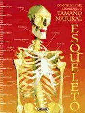 CONSTRUYE TU ESQUELETO RECORTABLE - SUSANNA ADDARIO / CLAUDIA SARACENI ...