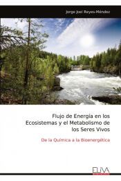 FLUJO DE ENERGIA EN LOS ECOSISTEMAS Y EL METABOLISMO DE LOS SERES VIVOS ...