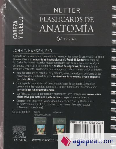 NETTER. FLASHCARDS DE ANATOMIA. CABEZA Y CUELLO - JOHN T. HANSEN ...