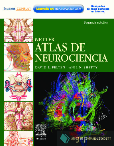 NETTER. ATLAS DE NEUROCIENCIA + STUDENT CONSULT - DAVID L. FELTEN; ANIL ...