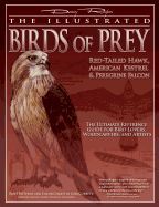 THE ILLUSTRATED BIRDS OF PREY: RED-TAILED HAWK, AMERICAN KESTREL ...