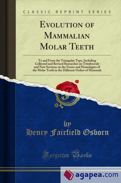 EVOLUTION OF MAMMALIAN MOLAR TEETH: TO AND FROM THE TRIANGULAR TYPE ...
