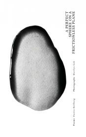 A PERFECT SPHERE ON A FRICTIONLESS PLANE - DUSTIN HELLBERG - 9789811141720