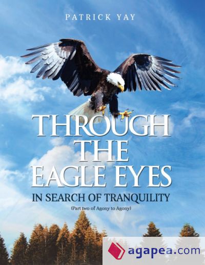 THROUGH THE EAGLE EYES: PART TWO OF AGONY TO AGONY - PATRICK YAY ...