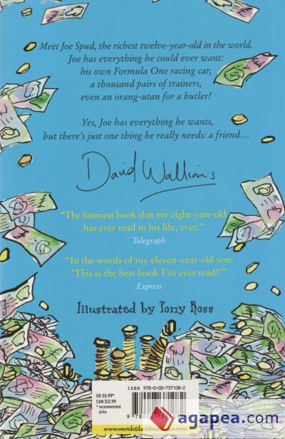 BILLIONAIRE BOY - DAVID WALLIAMS - 9780007371082