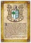 APELLIDO PINEL / ORIGEN, HISTORIA Y HERALDICA DE LOS LINAJES Y ...