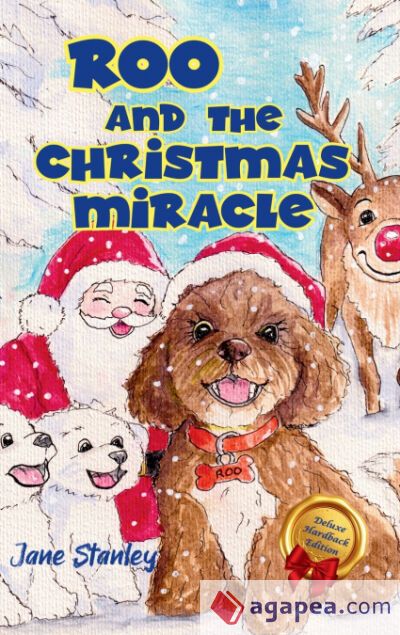 ROO AND THE CHRISTMAS MIRACLE - JESSICA LEWIS JANE STANLEY - 9781919210995