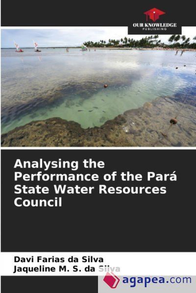 ANALYSING THE PERFORMANCE OF THE PARA STATE WATER RESOURCES COUNCIL ...