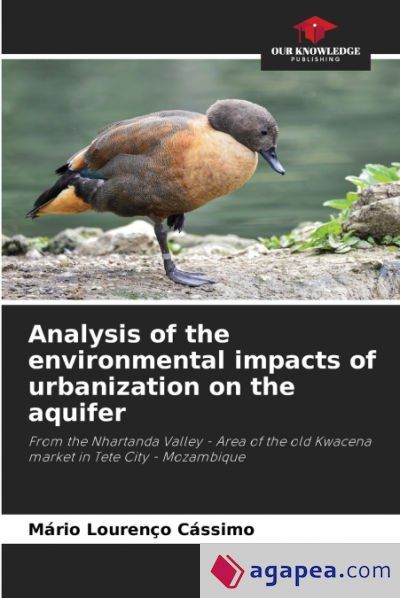 ANALYSIS OF THE ENVIRONMENTAL IMPACTS OF URBANIZATION ON THE AQUIFER ...