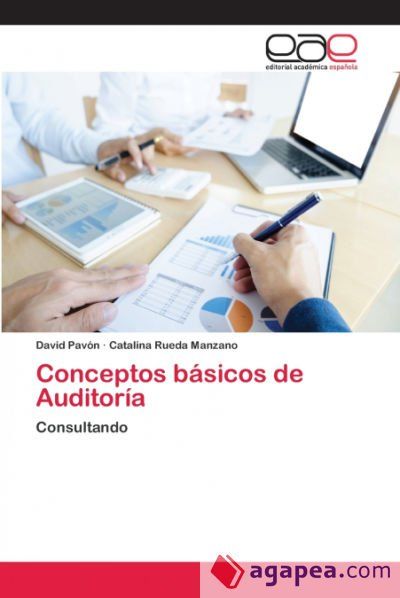 CONCEPTOS BASICOS DE AUDITORIA - DAVID PAVON CATALINA RUEDA MANZANO - 9786202153201