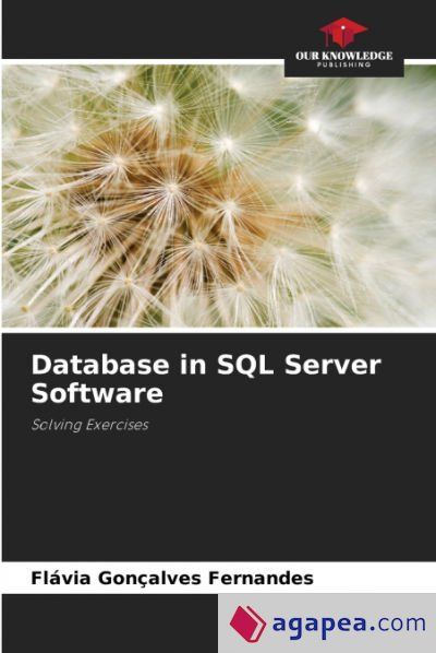 DATABASE IN SQL SERVER SOFTWARE - FLA¡VIA GONA§ALVES FERNANDES - 9786207715329