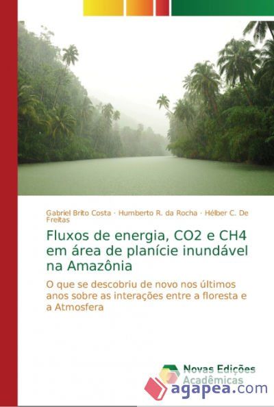 FLUXOS DE ENERGIA, CO2 E CH4 EM AREA DE PLANICIE INUNDAVEL NA AMAZONIA ...