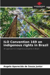 ILO CONVENTION 169 ON INDIGENOUS RIGHTS IN BRAZIL - ANGELO APARECIDO DE ...