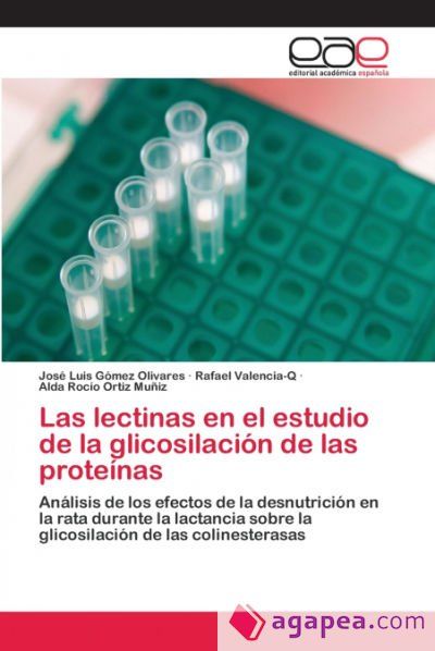LAS LECTINAS EN EL ESTUDIO DE LA GLICOSILACION DE LAS PROTEINAS - ALDA ...
