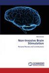 NON-INVASIVE BRAIN STIMULATION - ALINE IANNONE - 9786200276605