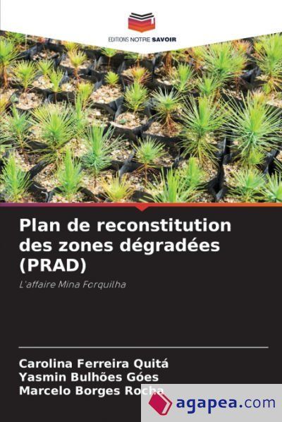PLAN DE RECONSTITUTION DES ZONES DEGRADEES (PRAD) - CAROLINA FERREIRA ...
