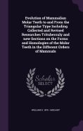 EVOLUTION OF MAMMALIAN MOLAR TEETH TO AND FROM THE TRIANGULAR TYPE ...