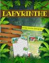 LIVRE DE LABYRINTHE POUR ENFANTS: AMUSANTS LABYRINTHES POUR LES ENFANTS ...