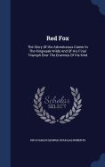 RED FOX: THE STORY OF HIS ADVENTUROUS CAREER IN THE RINGWAAK WILDS AND ...
