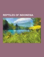 REPTILES OF INDONESIA: ACALYPTOPHIS PERONII, AMBOINA BOX TURTLE, ASIAN ...
