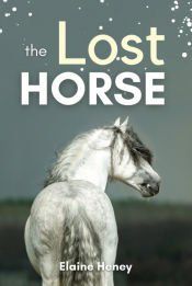 THE LOST HORSE - BOOK 6 IN THE CONNEMARA HORSE ADVENTURE SERIES FOR ...
