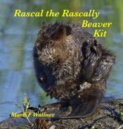 RASCAL THE RASCALLY BEAVER KIT - MARK WALLNER - 9781716174391
