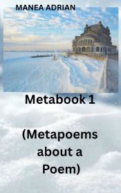 METABOOK 1 (METAPOEMS ABOUT A POEM) - 9798231092550